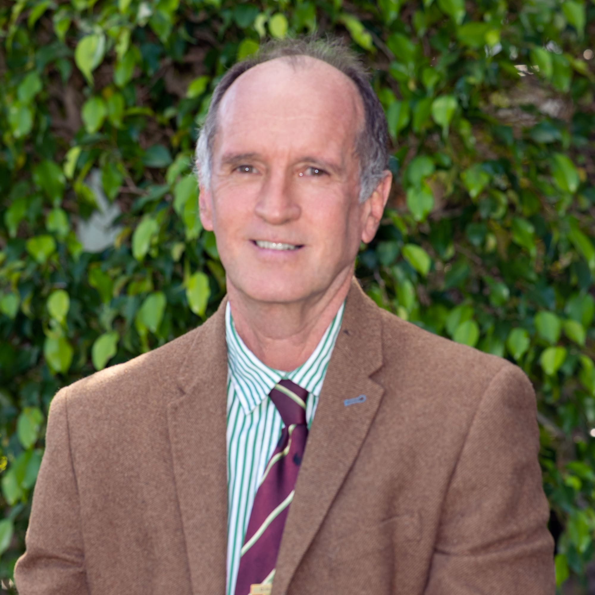 Our Board - Queensland Shows