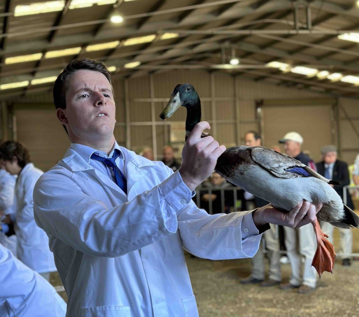 Competitions - Queensland Ag Shows